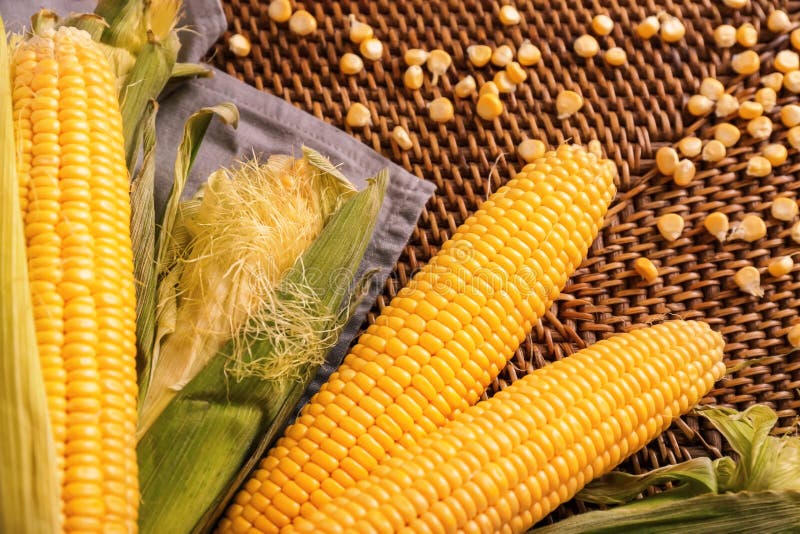 Fresh corn cobs on table stock image. Image of cobs - 151179345
