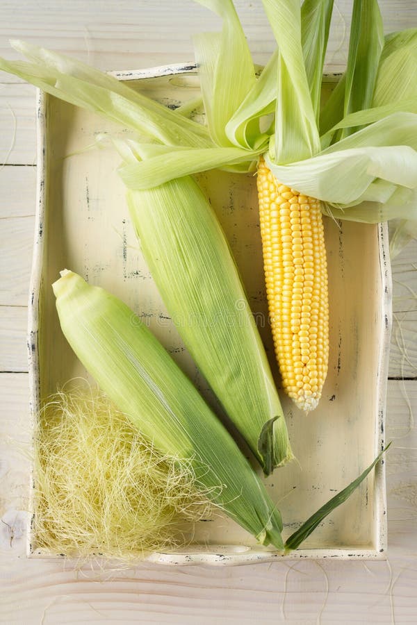 Fresh Corn stock image. Image of husk, appetizing, group - 32902105