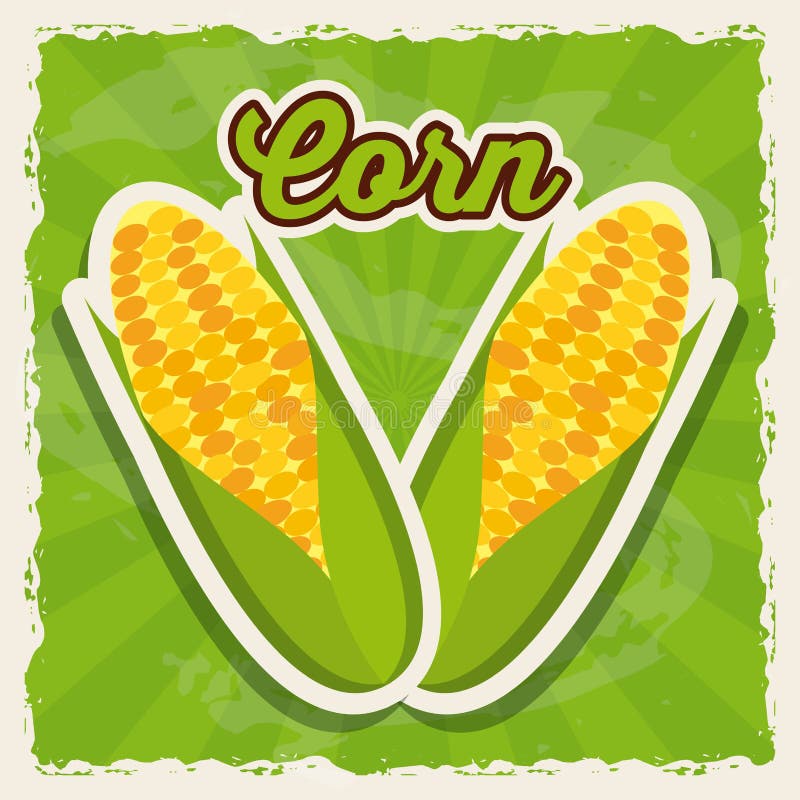 Fresh corn design stock illustration. Illustration of isolated - 64975335