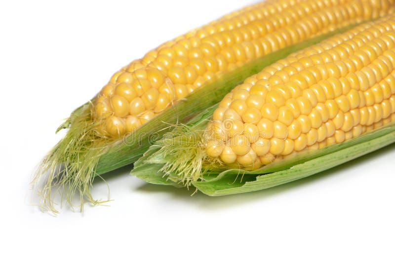 Fresh Corn Ears with Leaves Set Isolated on White Background Stock ...