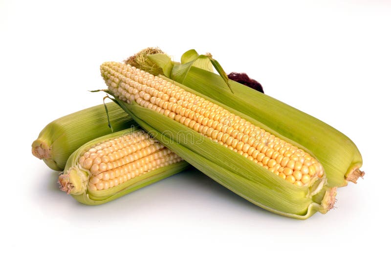 Fresh Corn Fruits with Green Leaves Stock Photo - Image of fresh, green ...
