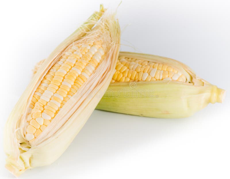 Fresh Corn Fruits with Soft Green Leaves Isolated Stock Image - Image ...