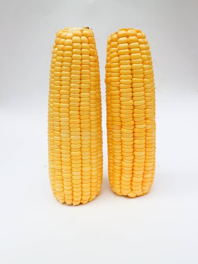 Two Fresh Sweet Corn on White Background Stock Photo - Image of corncob ...