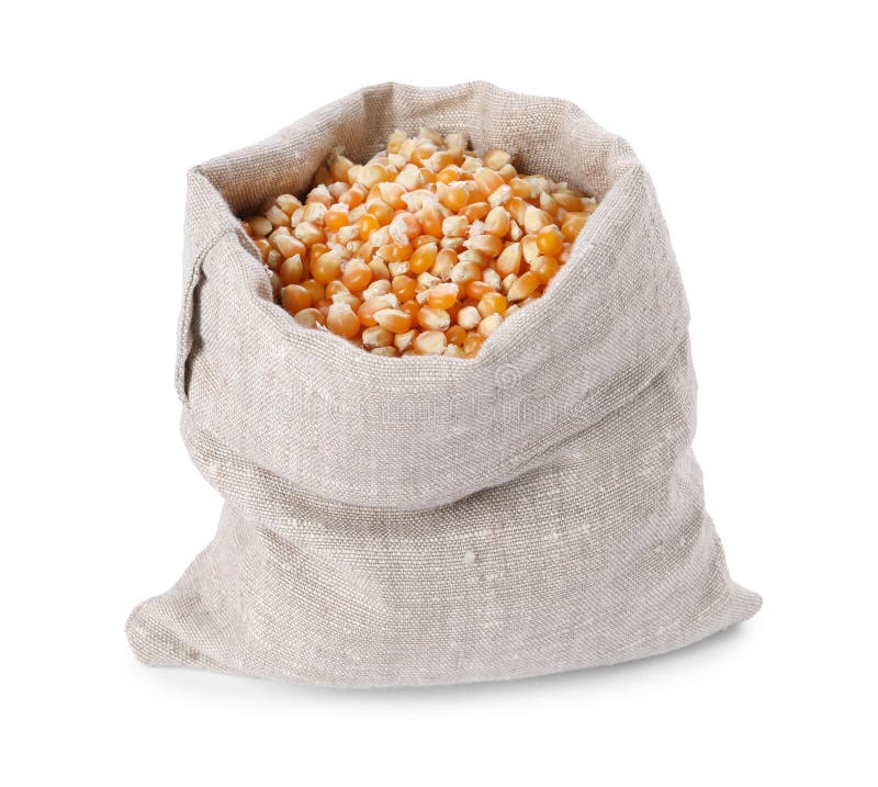 Fresh Corn Kernels in Burlap Sack Isolated on White Stock Image - Image ...