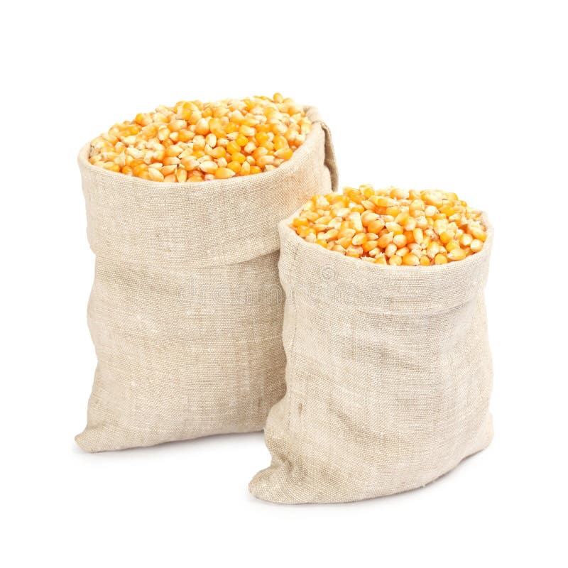 Fresh Corn Kernels Burlap Sacks Isolated White Stock Photos - Free ...