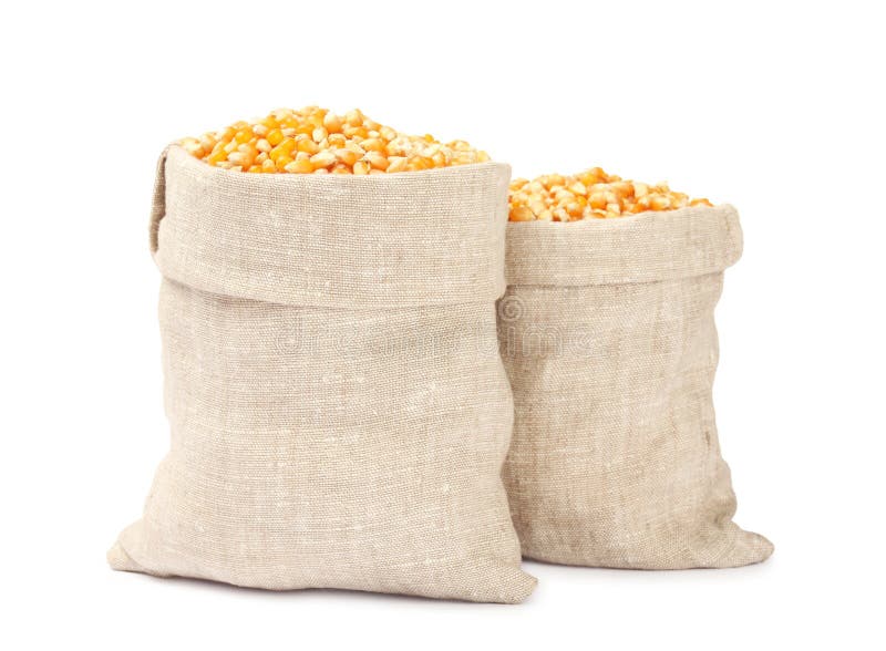 Fresh Corn Kernels in Burlap Sacks Isolated on White Stock Image ...