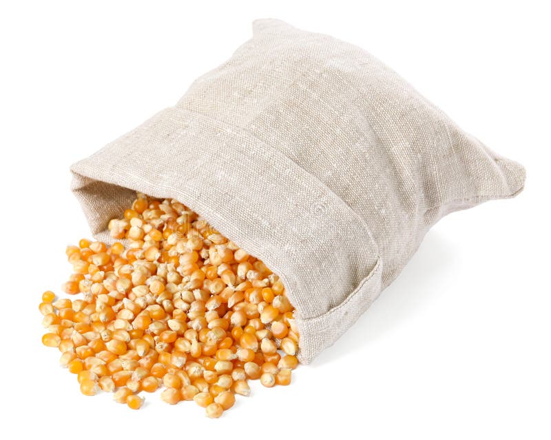 Fresh Corn Kernels and Overturned Burlap Sack Isolated on White Stock ...