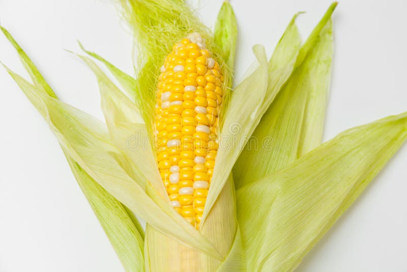 Fresh Corn with Leaves Set Isolated on White Background Stock Image ...