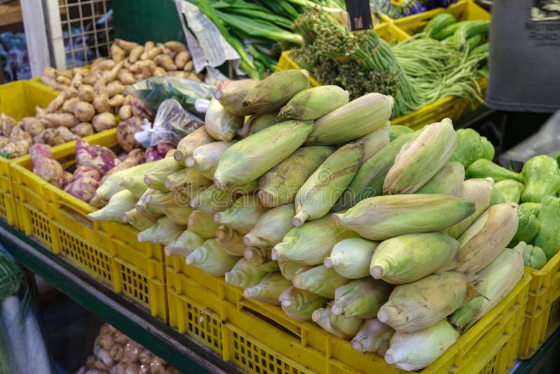 Fresh corn at Market stock image. Image of manila, asia - 89569081