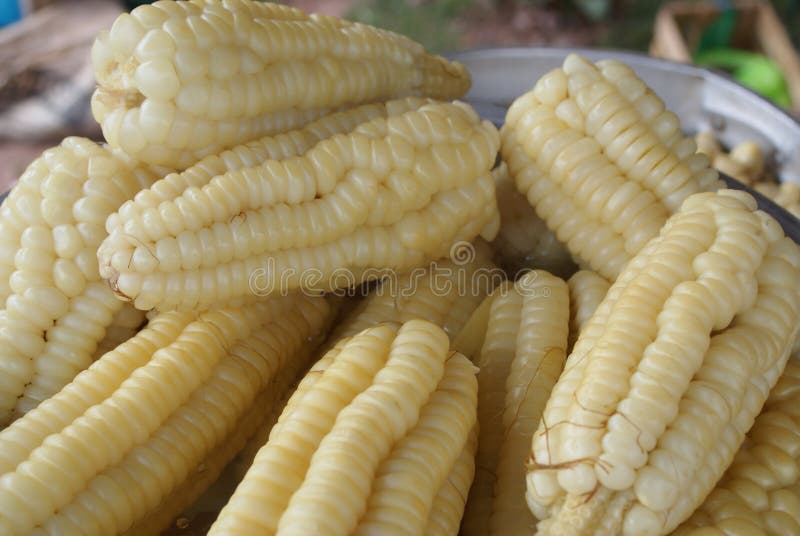 Tsken Stock Photos - Free & Royalty-Free Stock Photos from Dreamstime