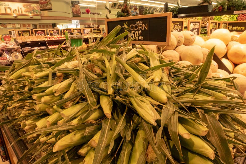 Fresh Corn on Sale at a Grocery Store Editorial Stock Image - Image of ...