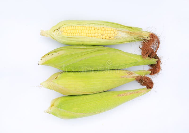 473 Maize Shell Stock Photos - Free & Royalty-Free Stock Photos from ...