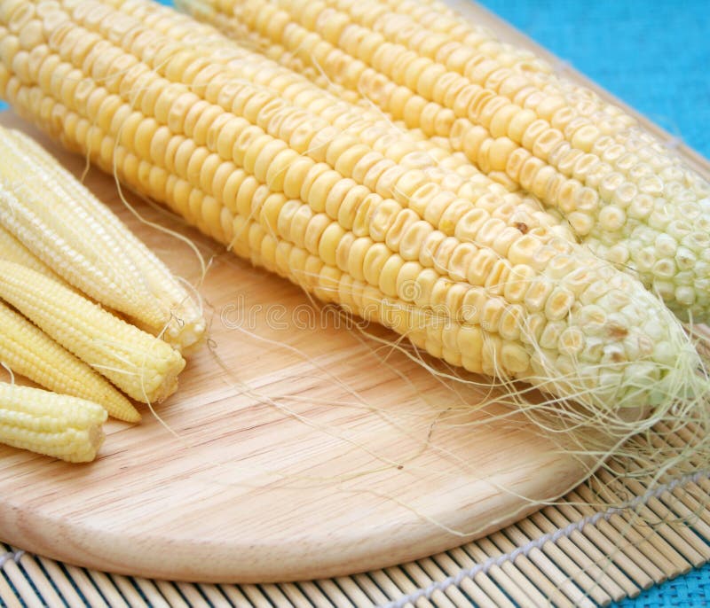 Fresh corn stock photo. Image of freshness, yellow, vegetables - 32128436