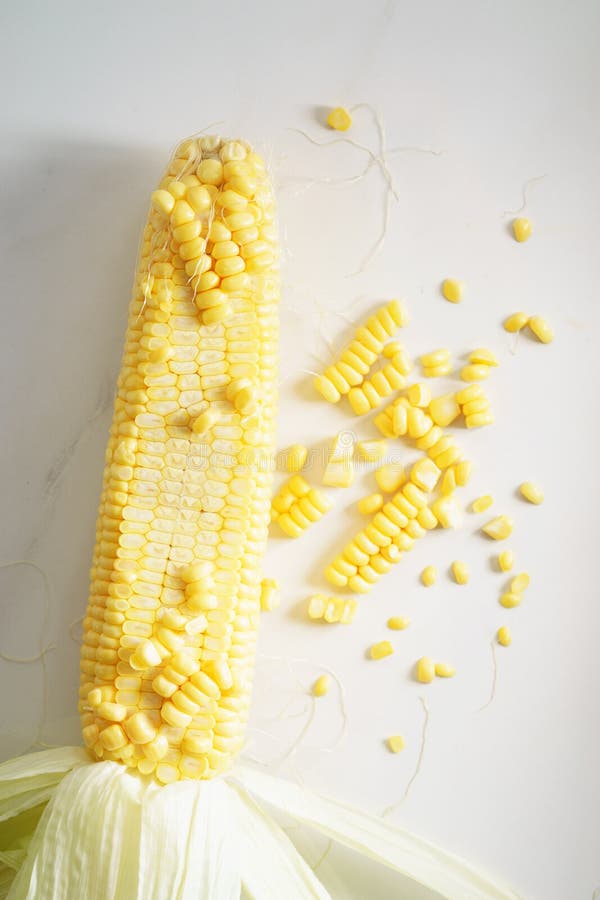Fresh corn stock image. Image of healthy, ingredient - 91189283