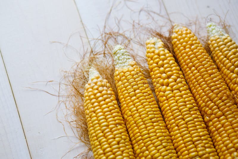 Fresh Corn on Table Close Up Stock Photo - Image of tasty, natural ...