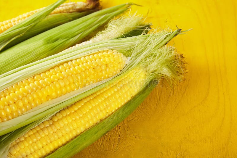 Fresh corn on wood desk stock photo. Image of farming - 122139324