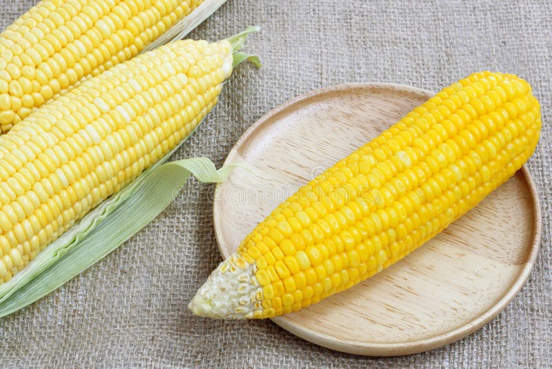 Fresh corn on wood plate stock photo. Image of cook, pile - 76820032