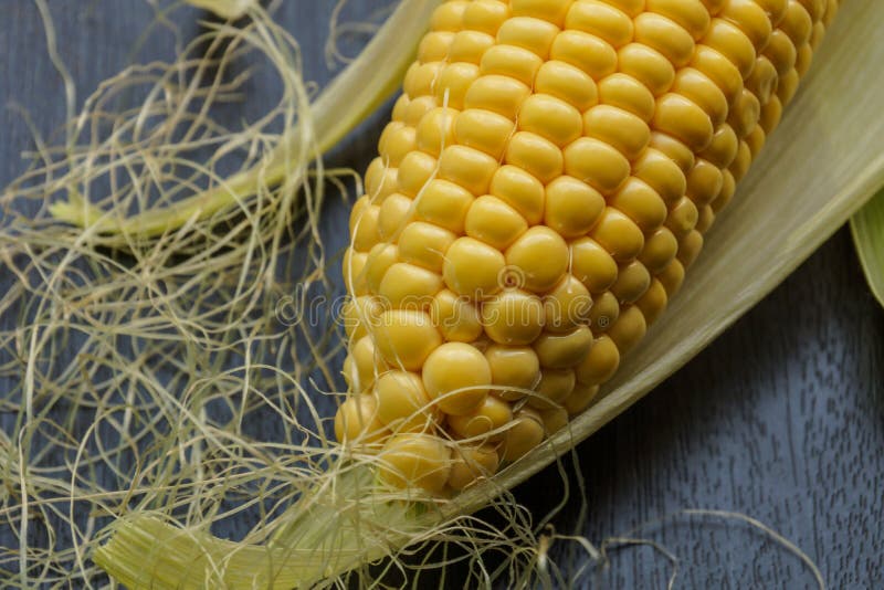 Fresh corncob stock photo. Image of native, flora, protein - 34205536