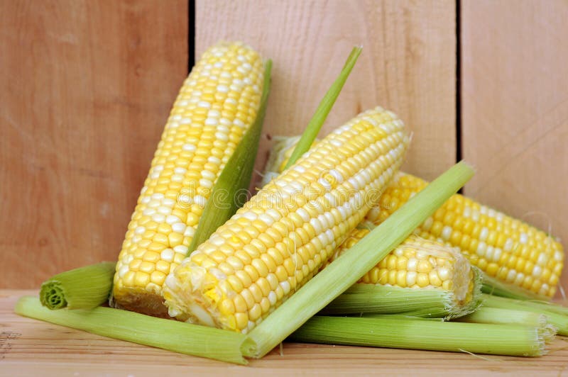 Corn bouquet stock photo. Image of photograph, american - 4416532