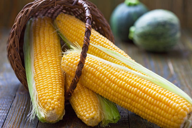 Fresh Corns at the Market stock image. Image of tasty, farm - 263113