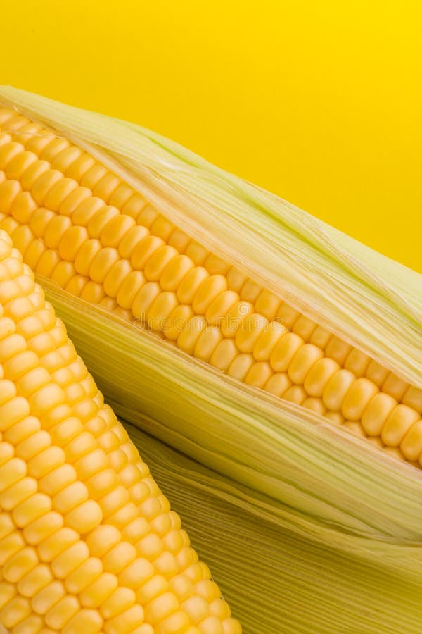 Fresh Corns at the Market stock image. Image of tasty, farm - 263113