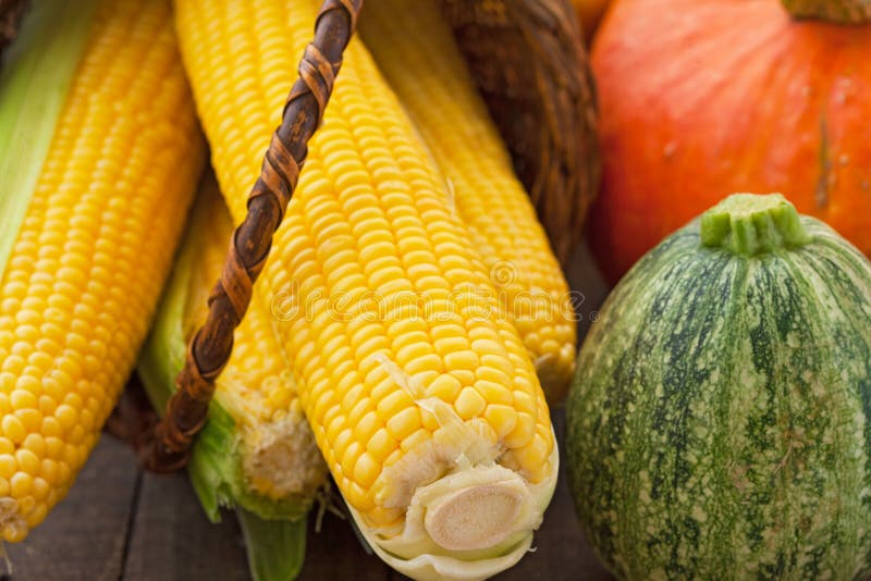 Fresh corns stock image. Image of corns, nature, vertical - 43204645