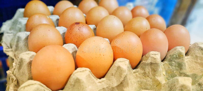 Fresh country chicken eggs stock photo. Image of country - 274936900