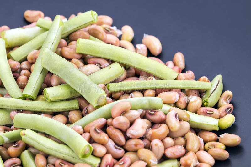 Cow-pea stock photo. Image of sprout, seed, nature, soil - 17926264