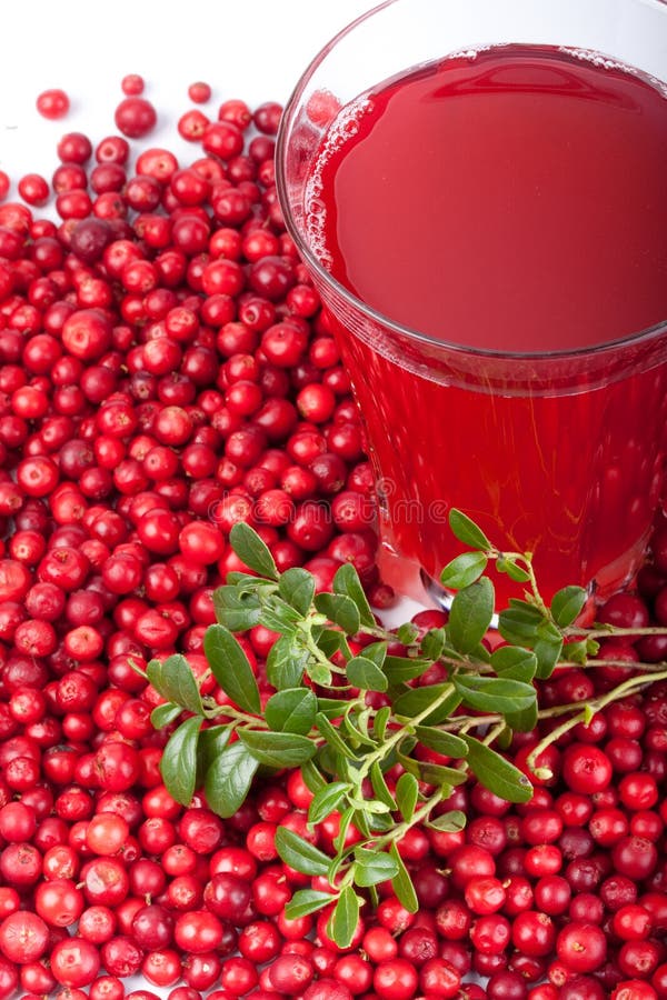 Red berry juice stock photo. Image of foxberry, cowberry - 33707010