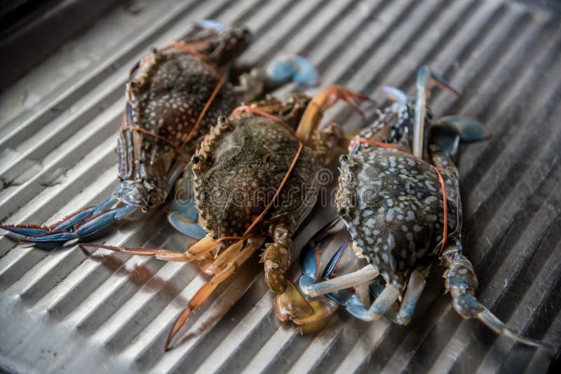 Fresh crab for cooking stock image. Image of prepare - 75478723