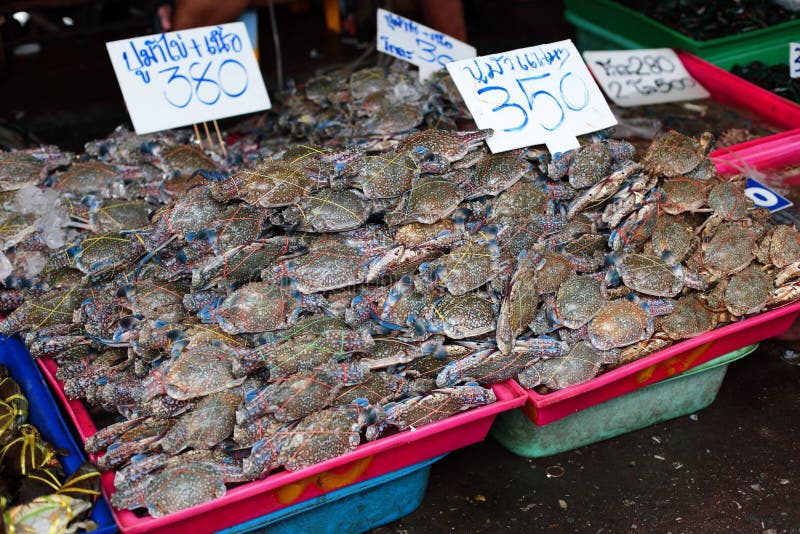 Fresh crab for sell stock image. Image of crab, seafood - 56814047