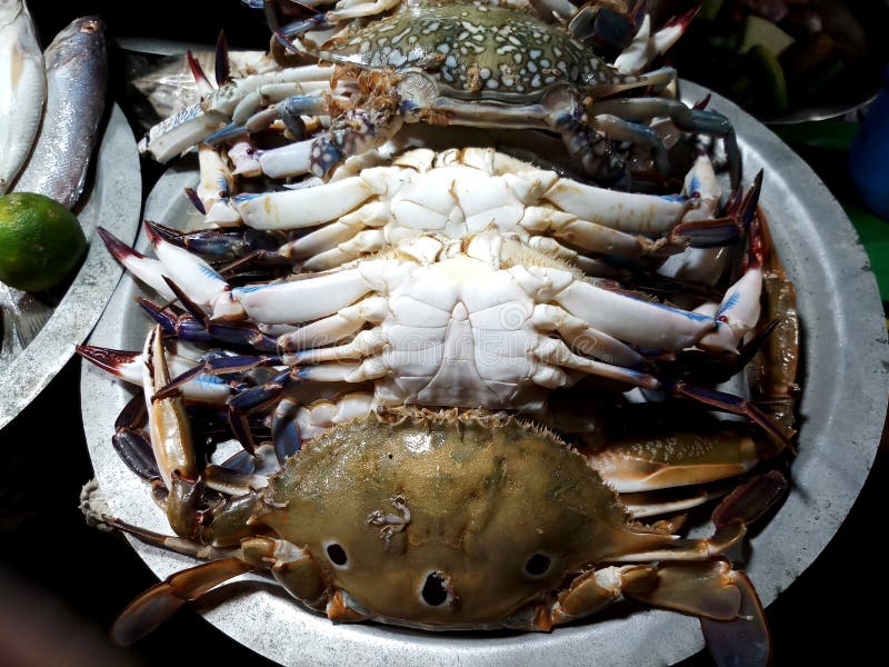 Fresh Crabs for Sell in Fish Market Stock Image - Image of delicious ...