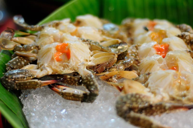 Fresh Crabs Sold in the Market Stock Image - Image of uncooked, exotic ...