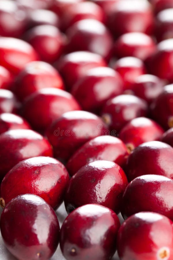 Fresh cranberries stock image. Image of cranberry, ball - 16665983