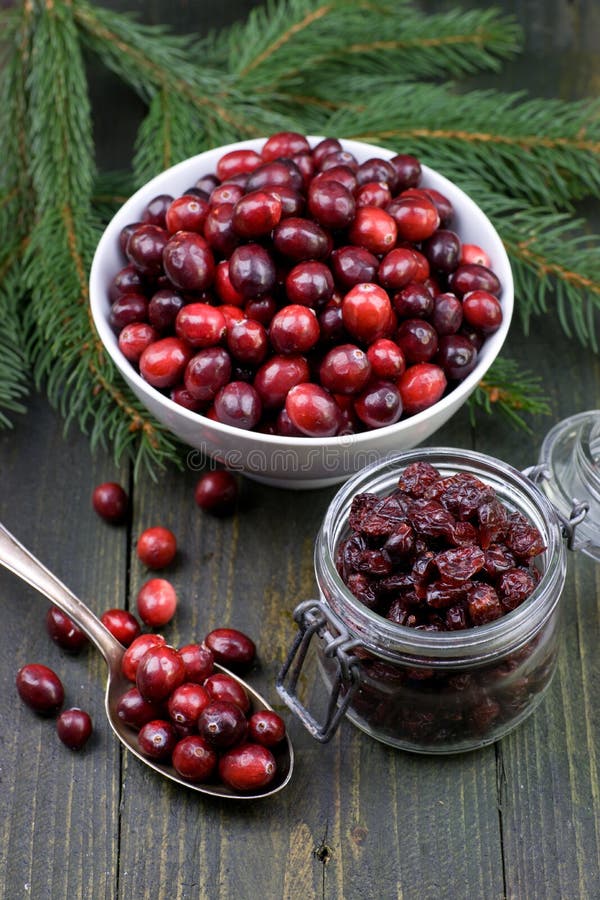 Fresh cranberries stock image. Image of berries, christmas - 27225733
