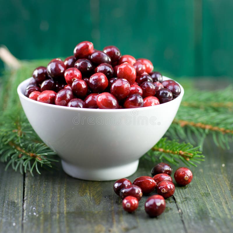 Fresh cranberries stock image. Image of harvest, cranberry - 27225853