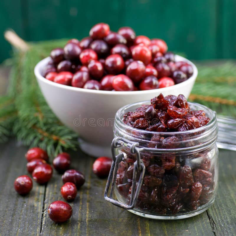 Fresh cranberries stock image. Image of berries, cranberries - 27265203