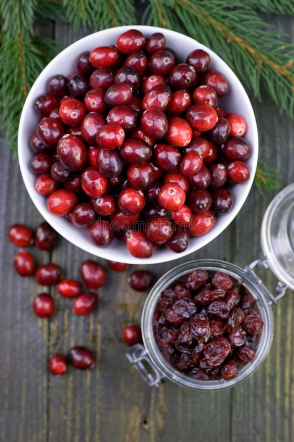 Fresh cranberries stock image. Image of vitamins, fresh - 27265399