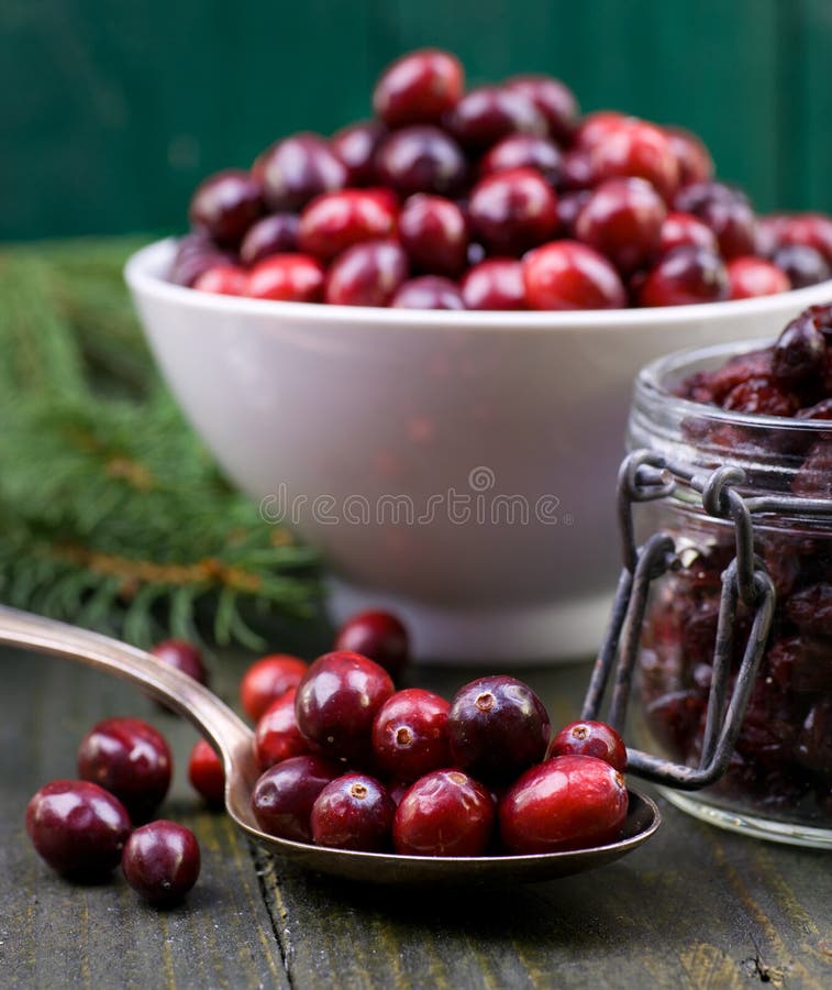 Fresh cranberries stock photo. Image of time, cranberries - 27296546