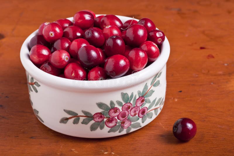 Fresh Cranberries stock image. Image of juice, fruit - 28903575