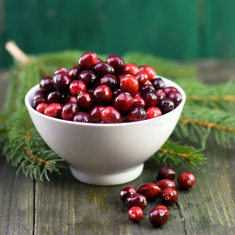 Fresh cranberries stock image. Image of vitamins, bowl - 29010459
