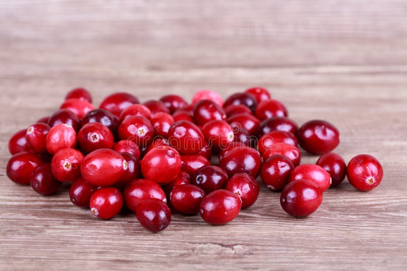 Fresh cranberries stock photo. Image of autumn, table - 36227434