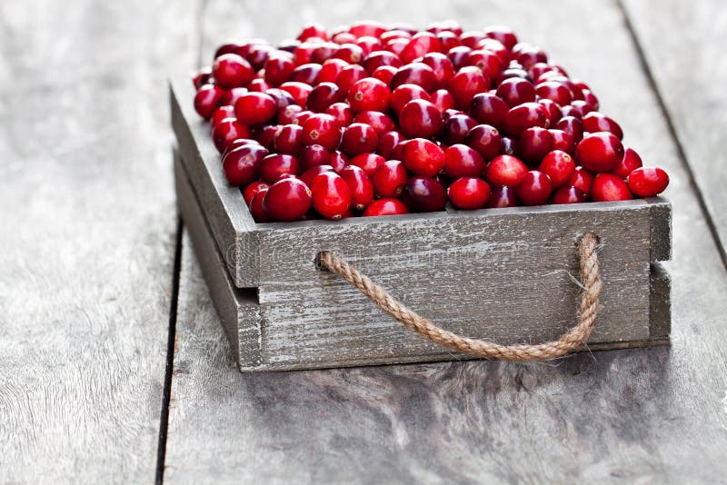 Fresh Cranberry in a Wooden Box on Rustic Table Stock Image - Image of ...