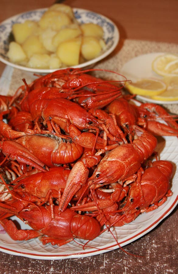 Fresh Crawfish with Garnish Stock Image - Image of delicious, lobster ...
