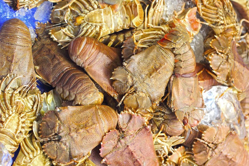 Fresh Crayfish in the Market. Stock Photo - Image of seafood, shell ...