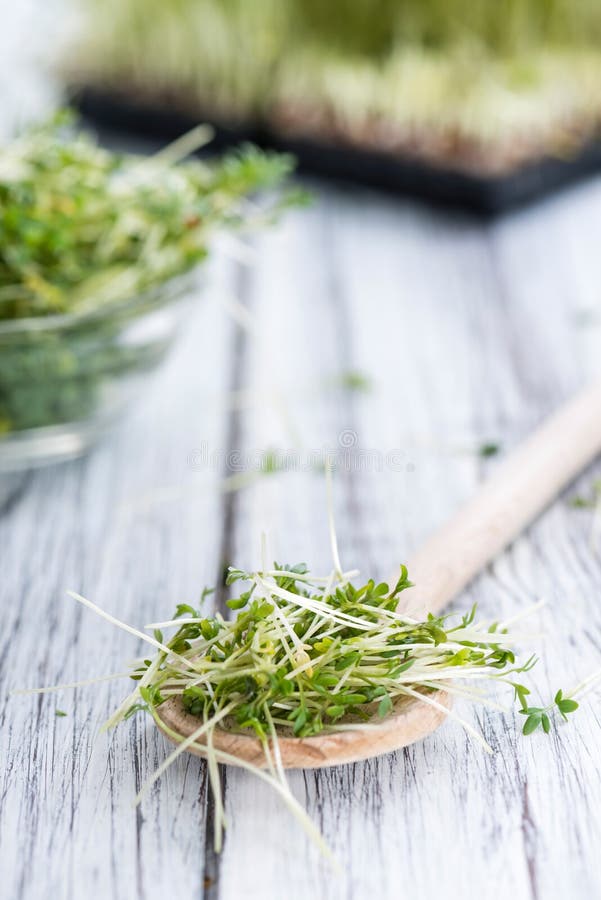 Fresh Cress (close-up Shot) Stock Photo - Image of natural, cooking ...