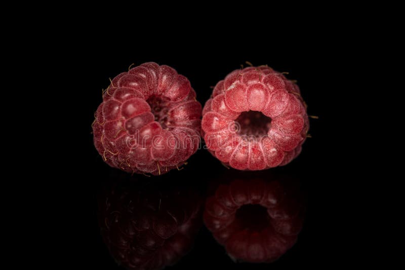 Fresh Crimson Raspberry Isolated on Black Glass Stock Image - Image of ...