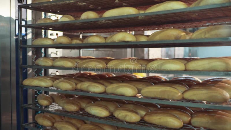 Fresh Crispy Bread Loaves on the Cooling Rack. Bread Making ...