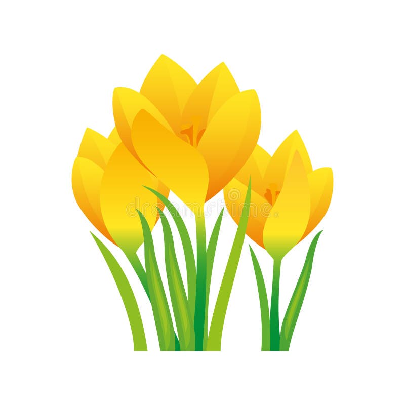 Yellow Flower Drawing Stock Illustrations – 303,917 Yellow Flower ...