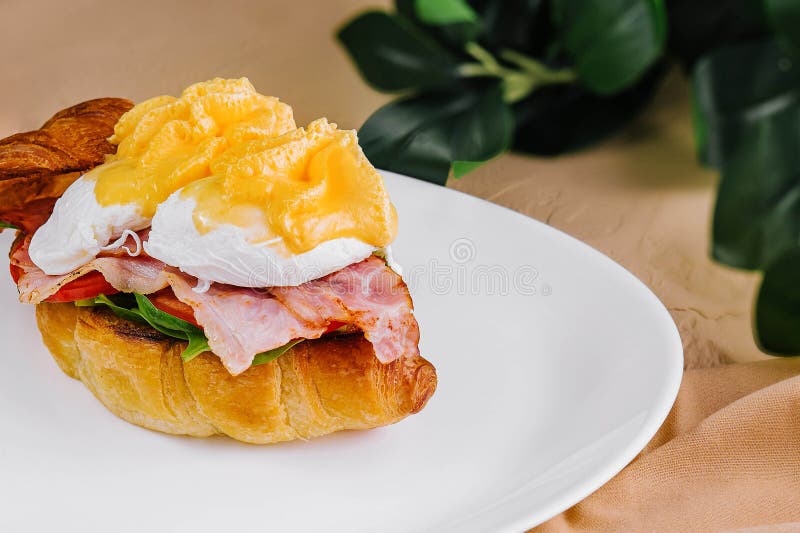 Fresh Croissant with Smoked Salmon and Croissant Sandwich with Bacon ...